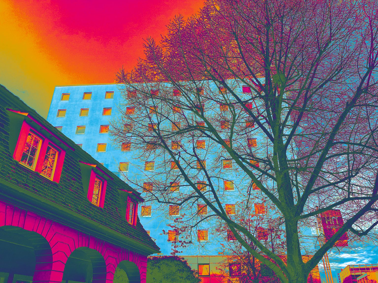 Interview mit Michael Rauter über die Pixelsinfonie I szenik